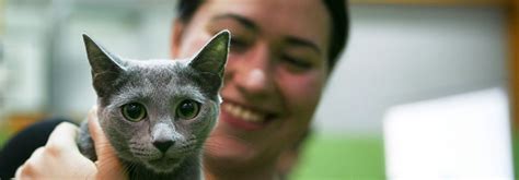 Foster Care Flash Classes