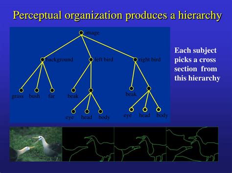 Ppt Visual Grouping And Recognition Powerpoint Presentation Free Download Id 804552