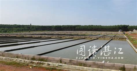 省紀委駐省水利廳紀檢組到雷州市開展駐村扶貧工作檢查 每日頭條