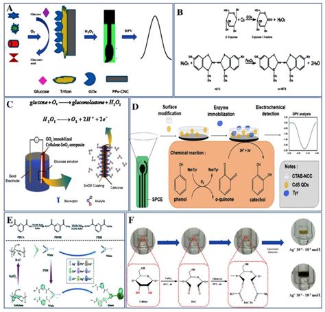 Nanobioengineered Sensors Based On Cellulose Matrices Biosensors Mdpi Posted On The Topic