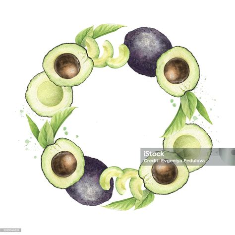 Hass 아보카도 전체 과일 씨앗과 씨없는 조각으로 과일을 반으로 자릅니다 수채화 라운드 프레임입니다 건강한 비건 야채와 나뭇잎 화환 메뉴 식품 포장 화장품 레시피 0명에