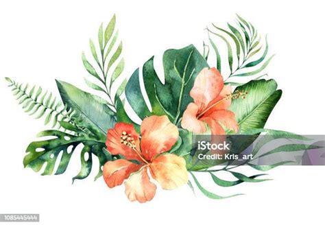 손으로 그린 수채화 열 대 꽃 꽃다발 구성 이국적인 야자수 잎 정글 나무 브라질 트로픽 식물학 요소와 꽃 직물 디자인에 대 한 완벽 한입니다 알로하 컬렉션 0명에 대한 스톡