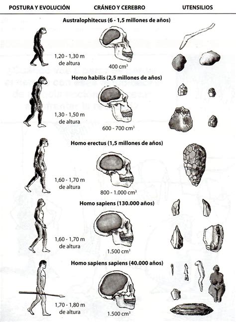 Histórica Mente La Aparición De Los Primeros Humanos