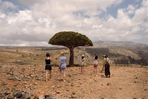 Как подготовиться к путешествию на остров Сокотра советы от команды Reset trip