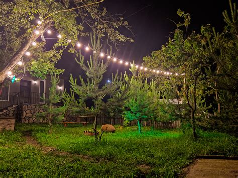 მცხეთის მუნიციპალიტეტის კულტურის დაწესებულებათა გაერთიანება Added A New მცხეთის