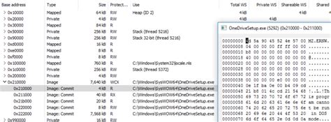 Some Experiments With Process Hollowing Insinuator Net