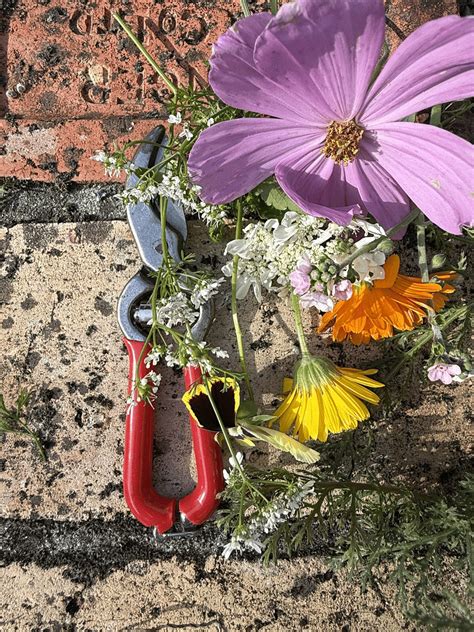 Mini Pruner Esschert Design Shop Now At Gubba