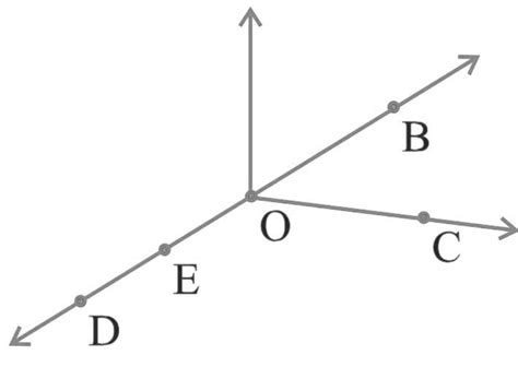 Use The Figure To Name A Five Points B A Line C Four Rays D Five Line Segments