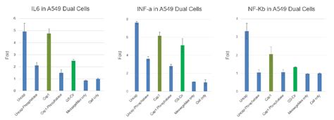 Custom Circular Rna Synthesis Genscript