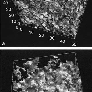 Two Typical Realizations Of Two Isotropic Gaussian Random Porous Download Scientific Diagram