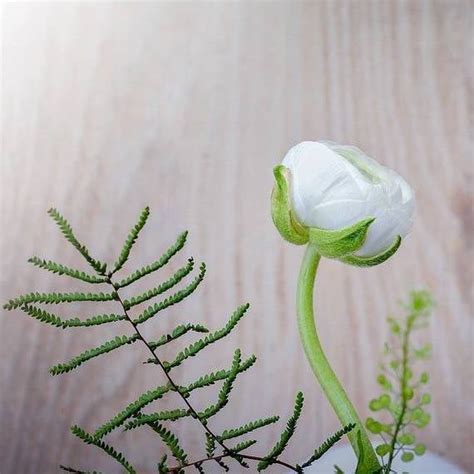 ดูดวงกันค่ะ เสื้อผ้าผู้หญิง เดรส ชุดทำงาน กระโปรง เครื่องประดับ หินมงคล Hollyhockgal