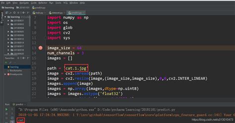 猫狗大战：用tensorflow实现图像分类 Csdn博客