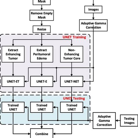Unet Architecture Used For Mri Segmentation Download Scientific Diagram