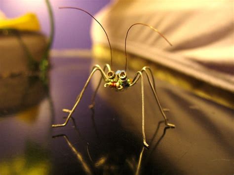 Assignment 6 Overview Course Wiki