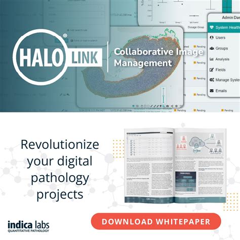 Indica Labs On Linkedin Halo Link