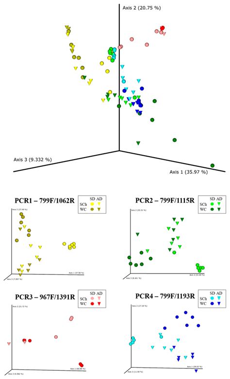 Taxonomic Bubble Plot Of Bacterial Relative Abundance At Genus Level Download Scientific