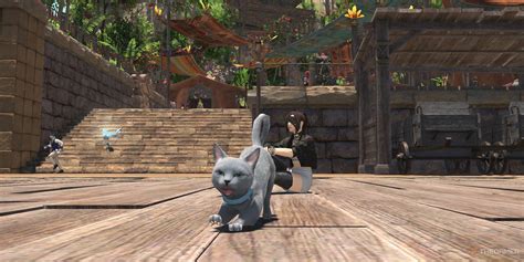 Every Minion Added In 7 0 And How To Get It In Ffxiv Dawntrail