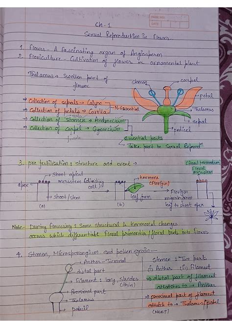 Solution Structure Of Anther And Androecium Studypool
