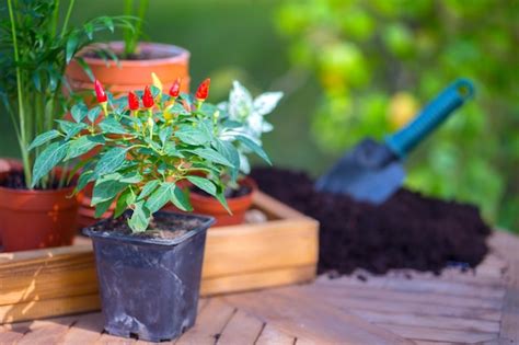 Premium Photo Girl Plants A Plant