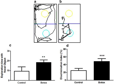 Novel Object Recognition Task Of Animals Representative Explorative