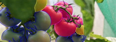 Your Guide To Computer Vision In Drone Technology Keymakr