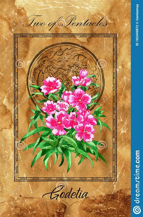 Two Of Pentacles Minor Arcana Tarot Card With Godetia And Magic Seal