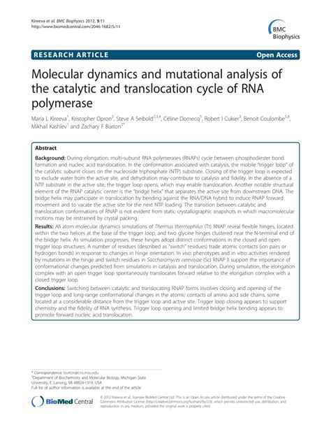 Pdf Molecular Dynamics And Mutational Analysis Of The Catalytic And Translocation Cycle Of Rna