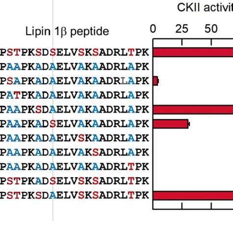 Analysis Of Lipin 1 Peptides By Ckii Identifies Ser 285 And Ser 287 As