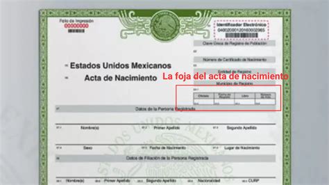 Formato De Registro De Acta De Nacimiento Image To U