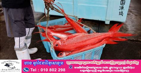 ប្រទេស ចិន គ្រោង នឹង បន្ត ការ នាំ ចូល គ្រឿង សមុទ្រ របស់ ជប៉ុន ដែល ត្រូវ បាន ផ្អាកជិត២ឆ្នាំ