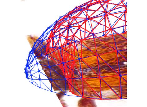 Boundary Based Structure Transfer Using Thin Plate Spline Warping Download Scientific Diagram