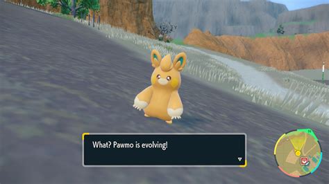 How To Evolve Pawmo Into Pawmot In Pokémon Scarlet And Violet GameSpot