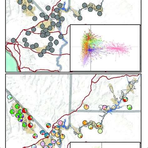 Maps Of Population Assignments To Genetic Clusters From Initial Dapc Download Scientific