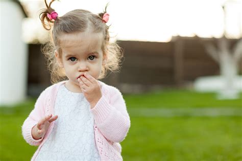 푸른 잔디에 뒤뜰에 있는 산책 하는 두 개의 꼬리와 작은 곱슬 여자의 소프트 포커스 사진 걷기에 대한 스톡 사진 및 기타 이미지