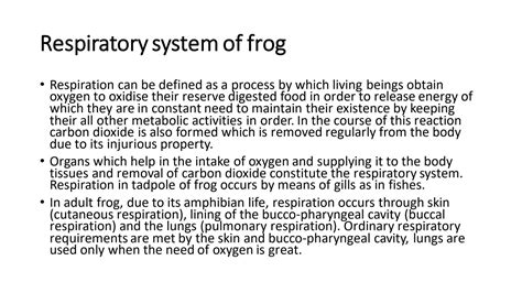 Solution Frog Respiratory System Studypool