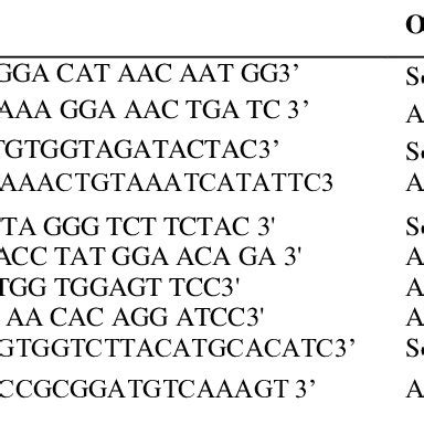 The Group Of Primers Used In Nested And Semi Nested PCR Download Scientific Diagram