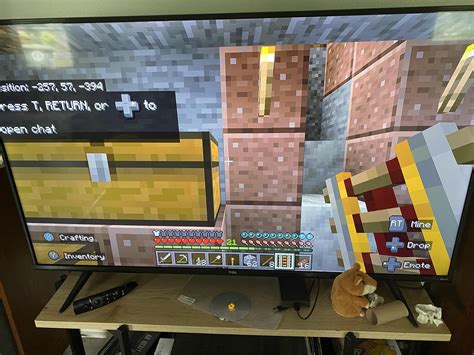 New Minecraft Bug R Minecraft