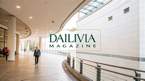 Understanding Tiny Black Ant Bites Causes Symptoms And Remedies Dailivia Magazine