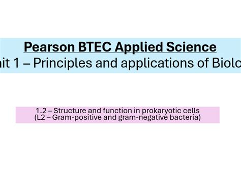 12 Gram Positive And Gram Negative Bacteria Structure And Function
