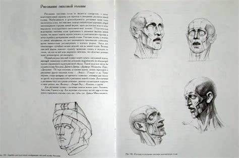 Основы Академического Рисунка (48 Фото)