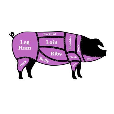 Pork Cuts Explained By Owtons Butchers Ultimate Guide