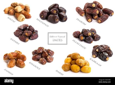 Different Types Of Dates Piled With Name Stock Photo Alamy