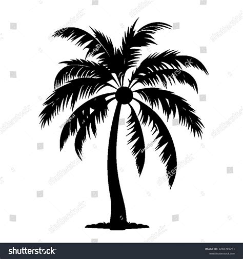 Palm Tree Illustration Vector Illustration Black Stock Illustration