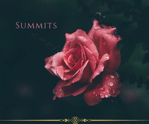 As Seen In Amanda Kunkel