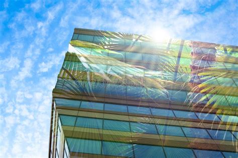 Environment Preservation Double Exposure Of Modern Building And Tropical Leaves Blue Sky Low