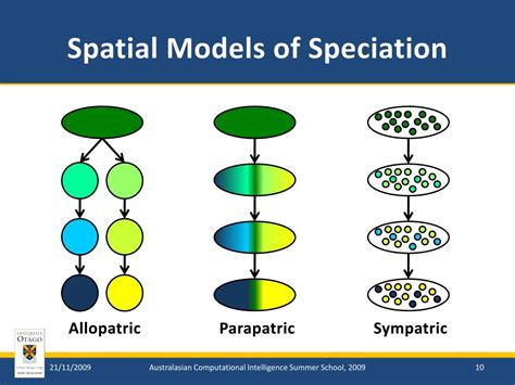 Ppt Spatially Structured Evolutionary Computation Powerpoint Presentation Id2762001