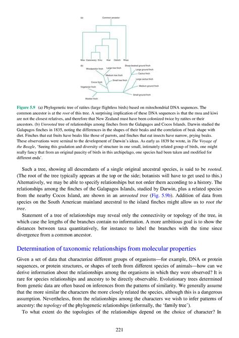 Introduction Of Bioinformatics Notes 56 Figure 5 A Phylogenetic Tree Of Ratites Large