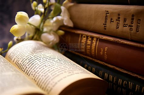 打开的书本高清图片下载 正版图片600419559 摄图网