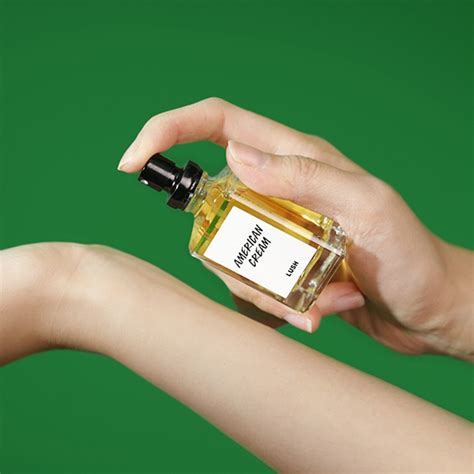 아메리칸 크림 30ml 퍼퓸향수 감도 깊은 취향 셀렉트샵 29cm