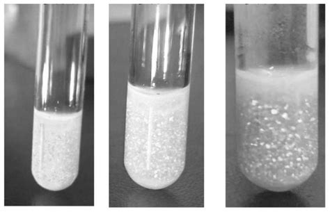 Preparation Method Of A Multi Responsive Core Shell Magnetic Nano